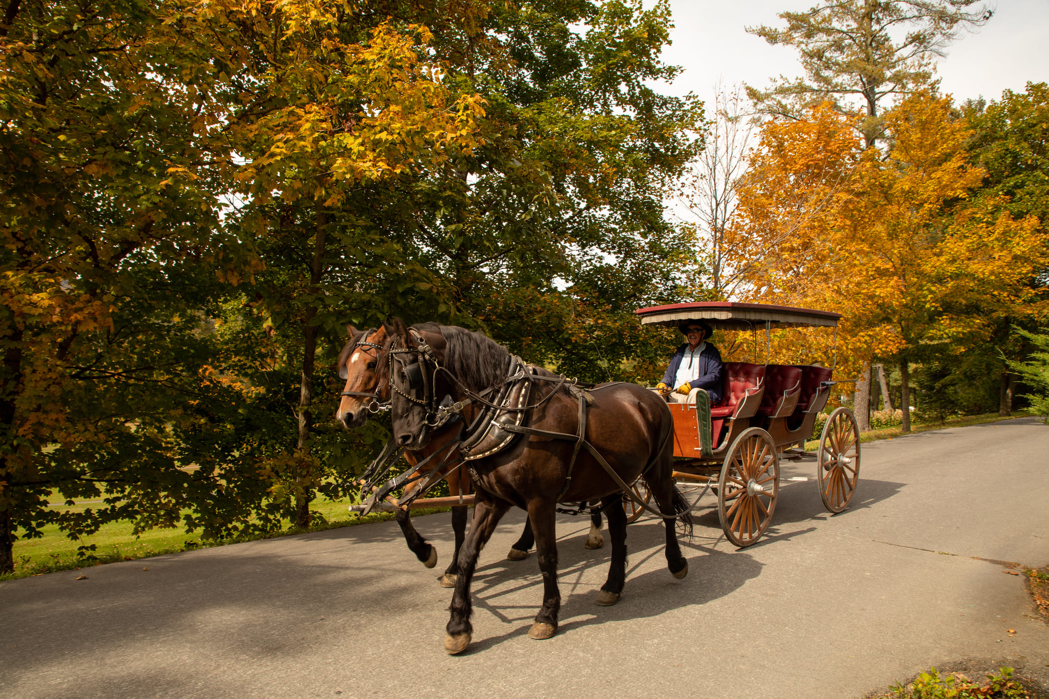 Carriage Rides - The Greenbrier Resort